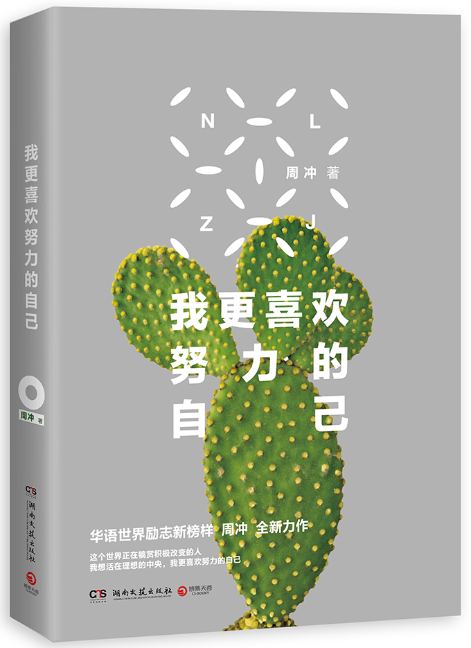 我更喜欢努力的自己 励志与成功 书籍