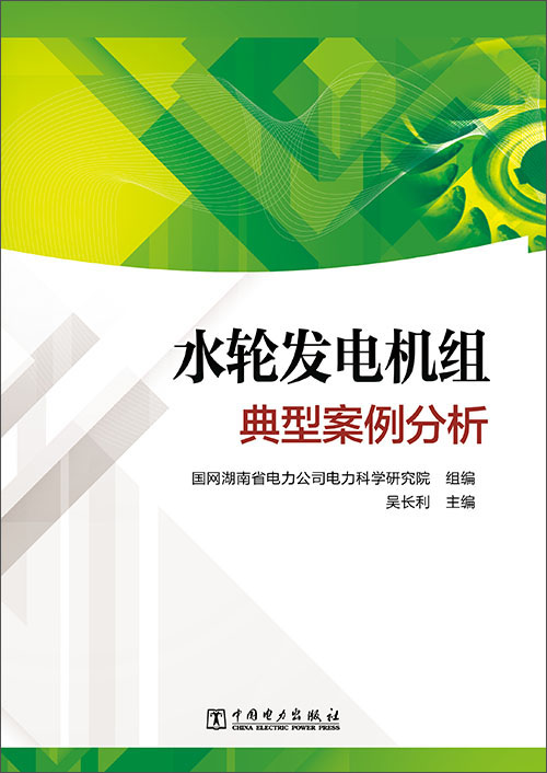 水轮发电机组典型案例分析