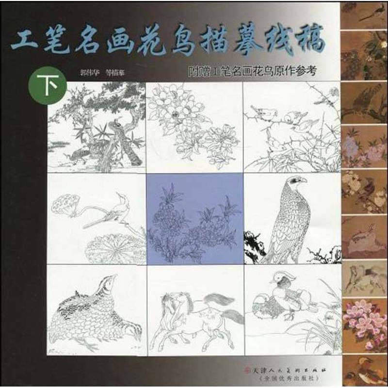 工笔名画花鸟描摹线稿（下）