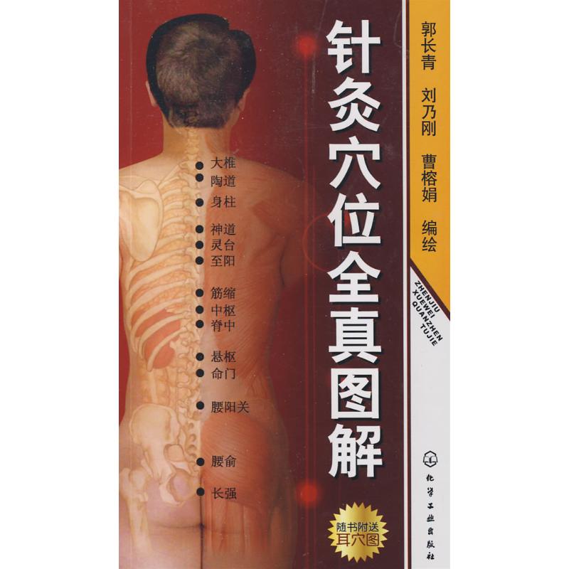 针灸穴位全真图解