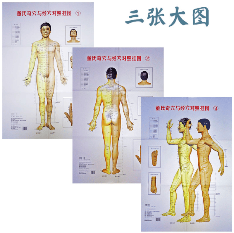 董氏奇穴与经穴对照挂图