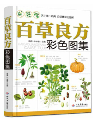 百草良方彩色图集中医中草药书中药医学入门图书中药材药方养生中医保健本草纲目书籍