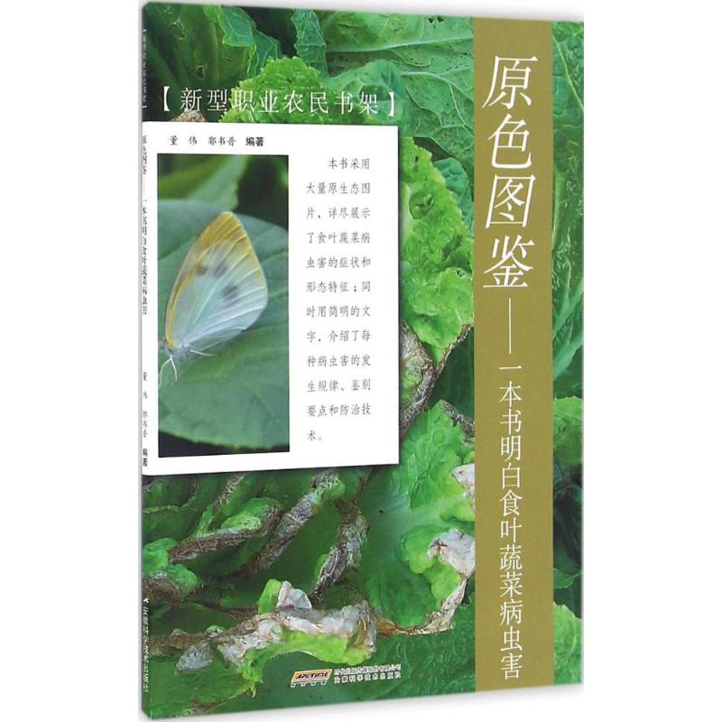 原色图鉴一本书明白食叶蔬菜病虫害
