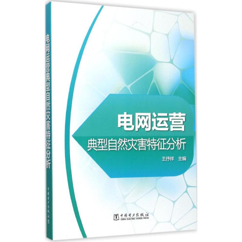 电网运营典型自然灾害特征分析