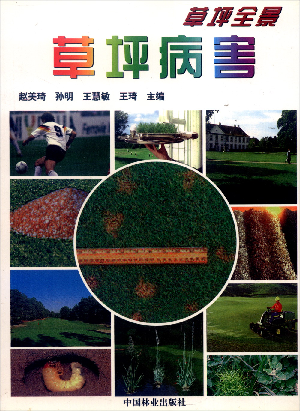 草坪全景：草坪病害