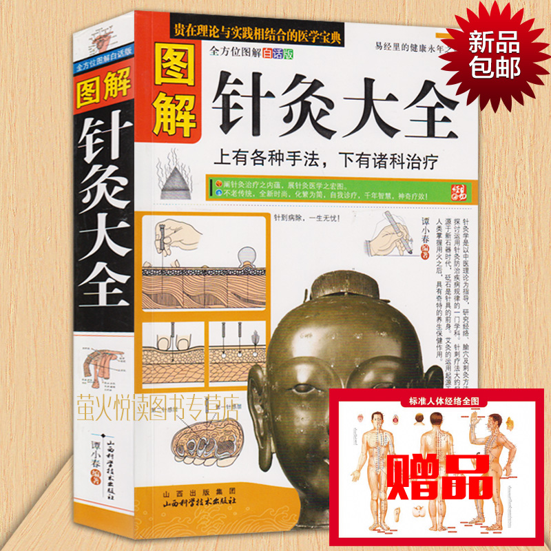 图解针灸大全 针灸与经络穴位 中医针灸治疗入门 人体经络穴位知识书 中医推拿按摩 针灸疗法书