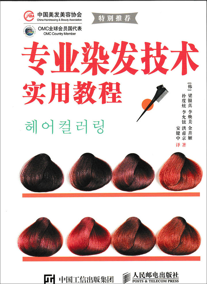 专业染发技术实用教程（摄影客出品）