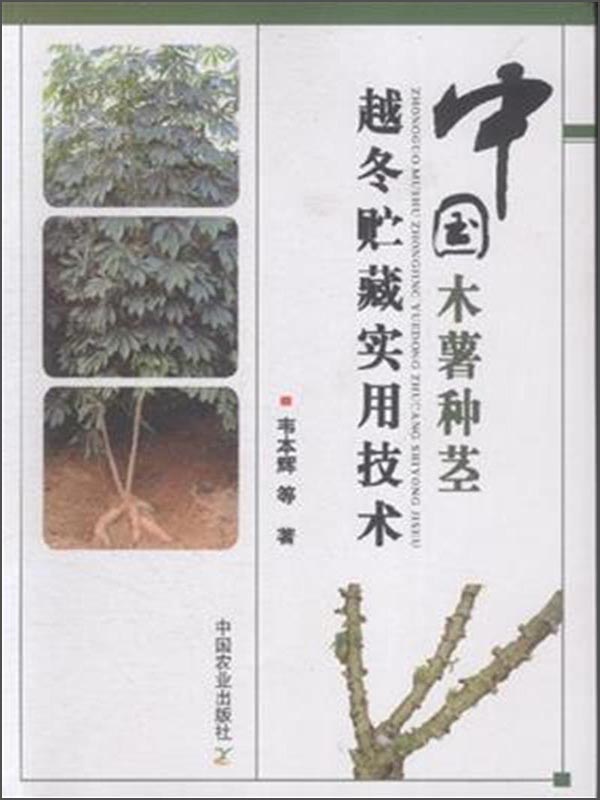 中国木薯种茎越冬贮藏实用技术