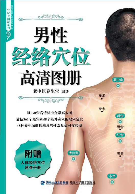 男性经络穴位高清图册