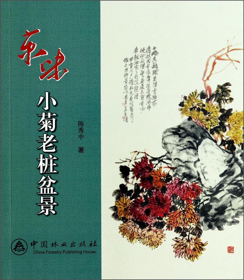 京味小菊花老桩盆景