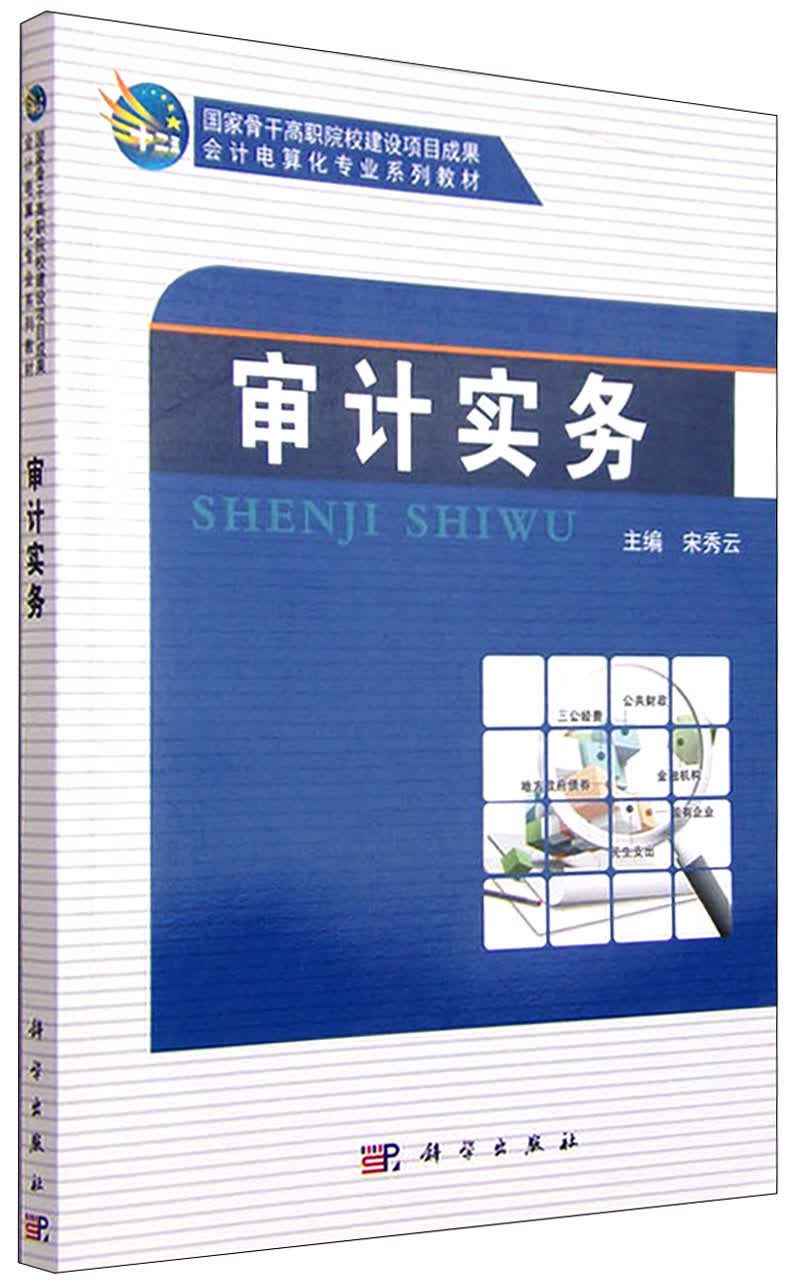 审计实务