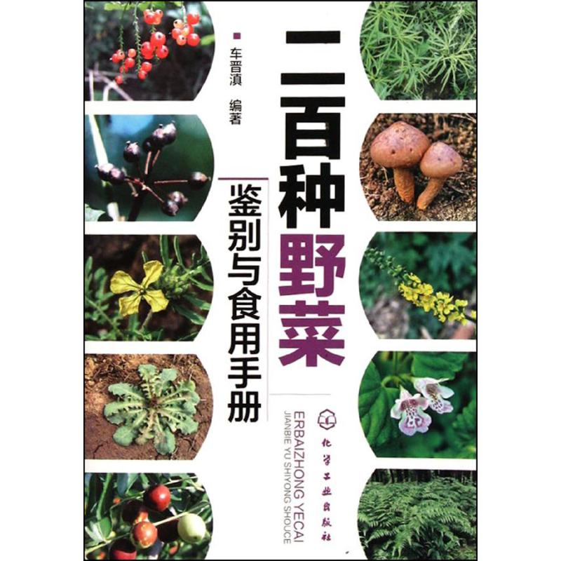 二百种野菜鉴别与食用手册