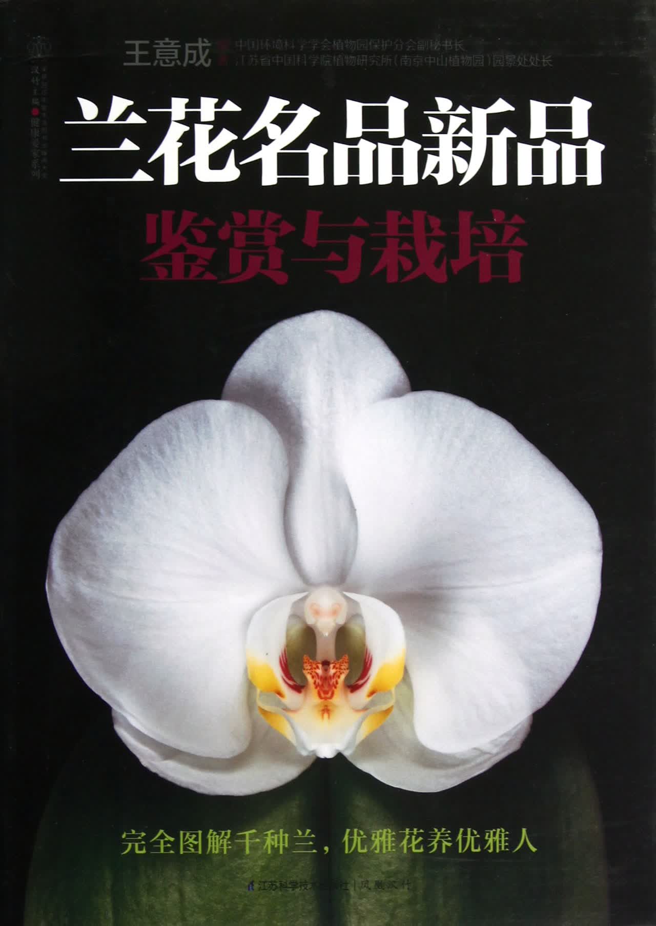 兰花名品新品鉴赏与栽培/健康爱家系列