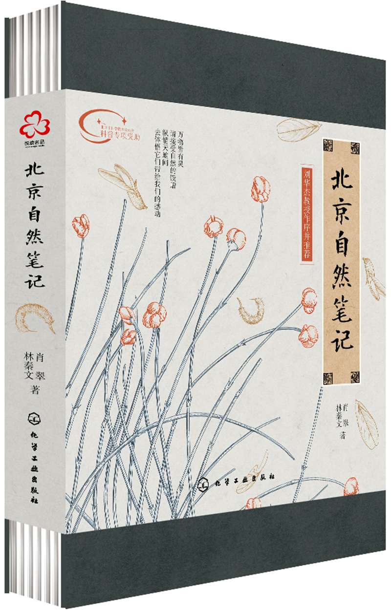 北京自然笔记（博物学文化倡导者刘华杰教授作序并推荐，北京地区植物观赏指南）