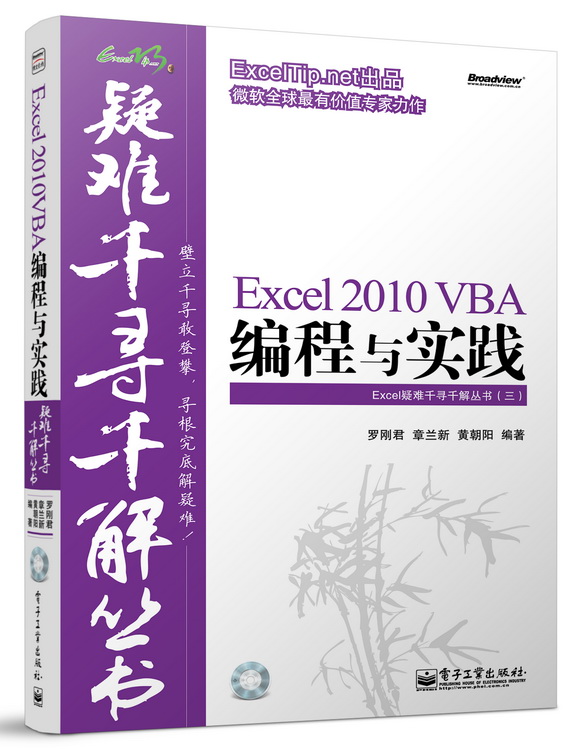 Excel疑难千寻千解丛书：Excel 2010 VBA编程与实践（附光盘）(博文视点出品)