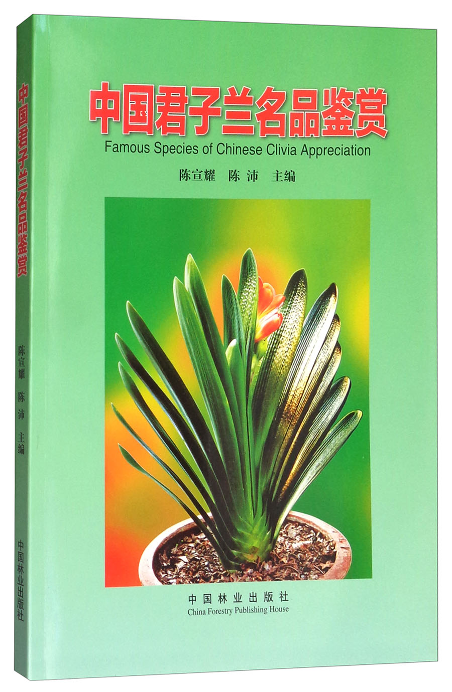 中国君子兰名品鉴赏