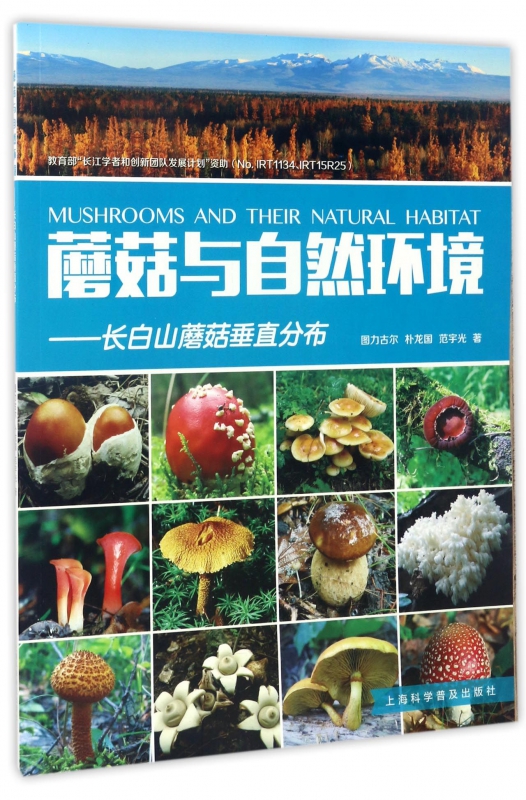 蘑菇与自然环境--长白山蘑菇垂直分布