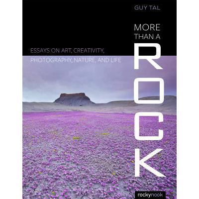 More Than a Rock: Essays on Art, Creativity,...