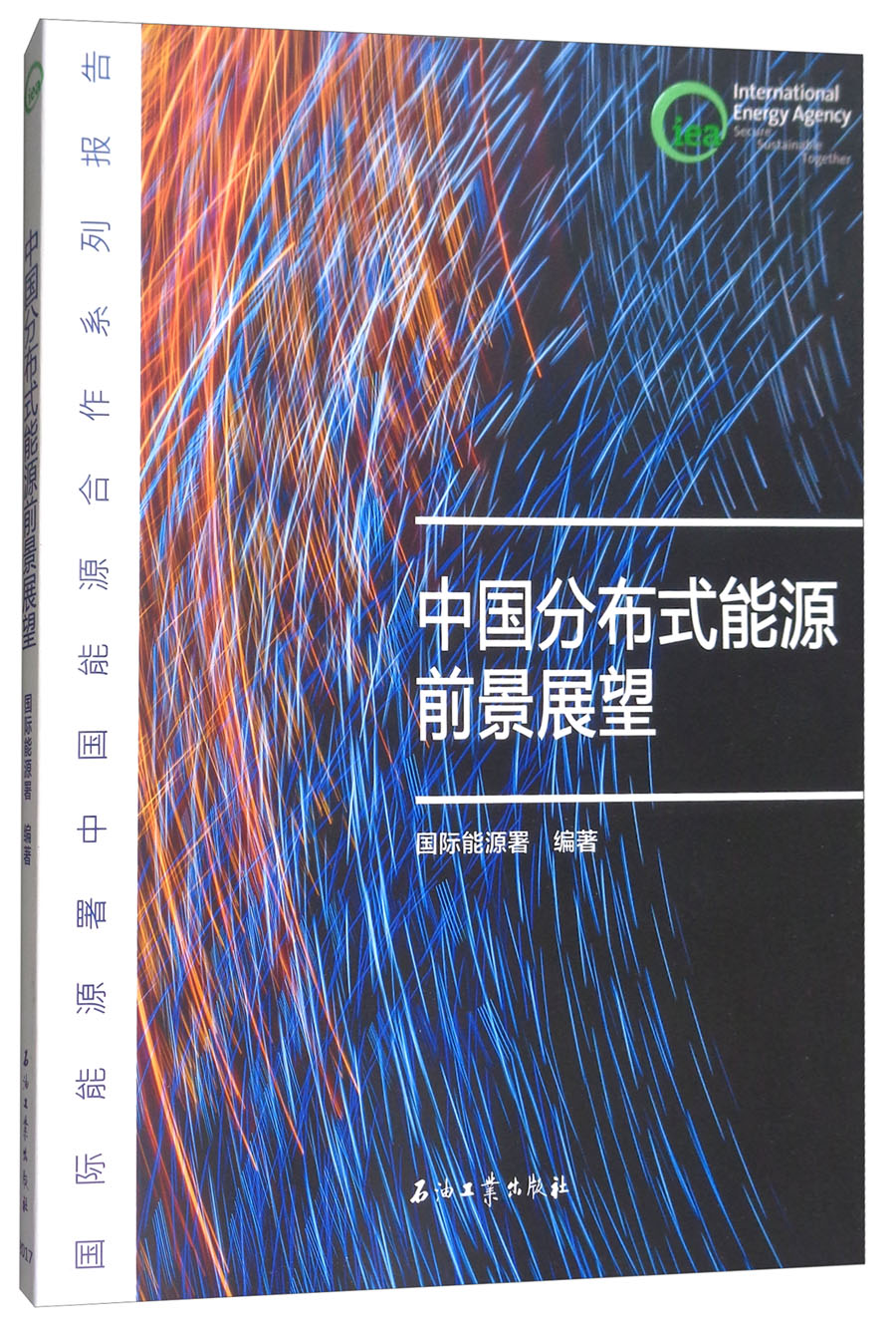 中国分布式能源前景展望