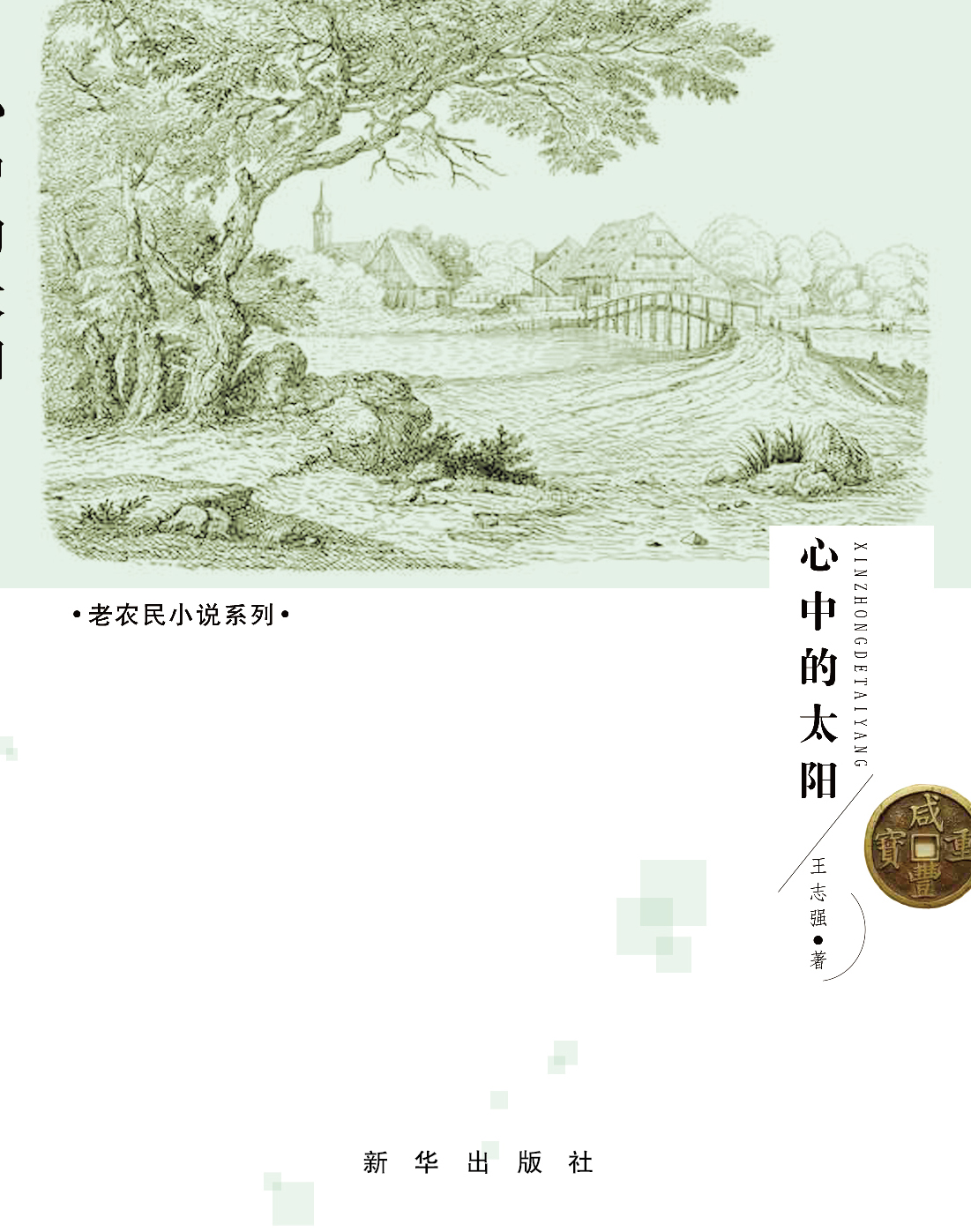 长篇小说：心中的太阳 新华 9787516610800 王志强