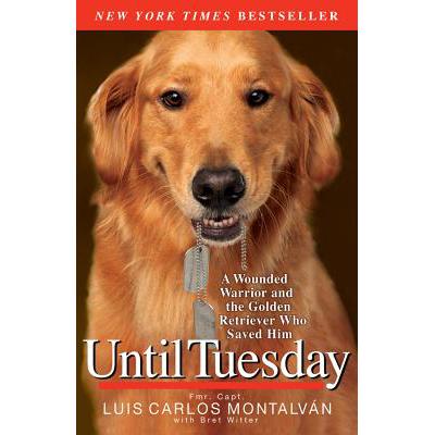 Until Tuesday