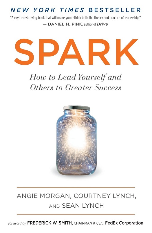 火花：如何引导自己和他人取得更大的成功 英文原版 Spark 领导力 管理 自我提升