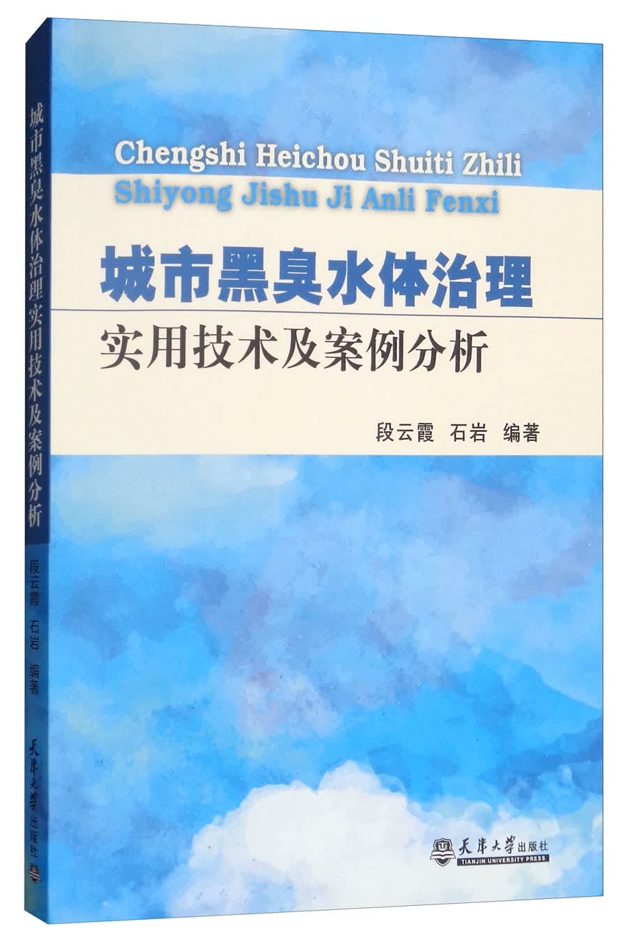 城市黑臭水体治理实用技术及案例分析