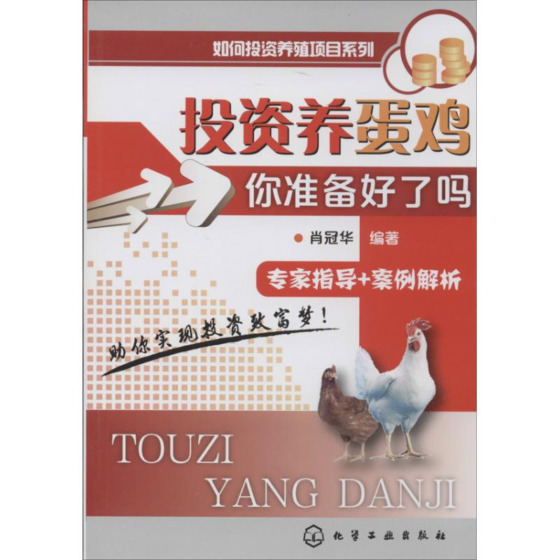 投资养蛋鸡 你准备好了吗