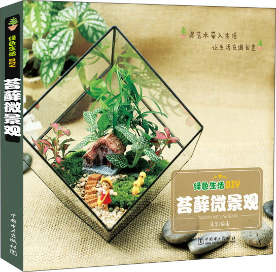 绿色生活DIY：苔藓微景观