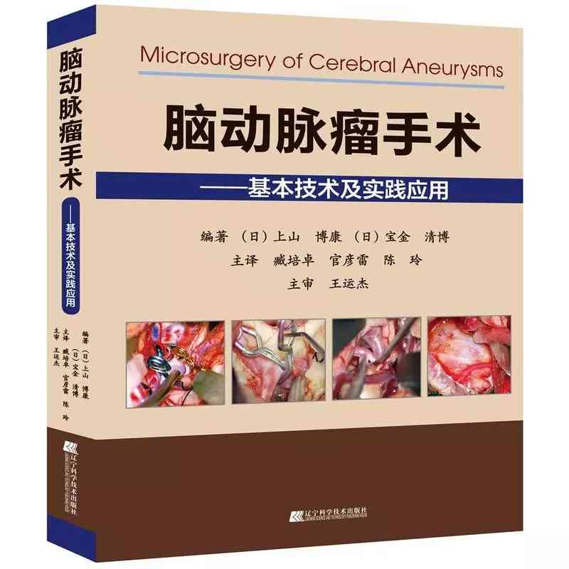 现货 脑动脉瘤手术基本技术及实践应用 脑动脉瘤手术技巧 神经外科手术解剖与临床 实用临床医学