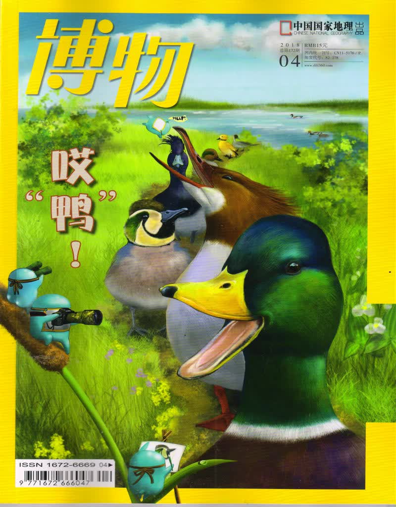 博物（2018年4月号）