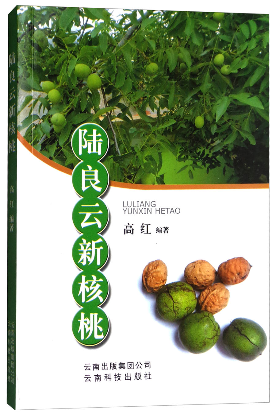 陆良云新核桃