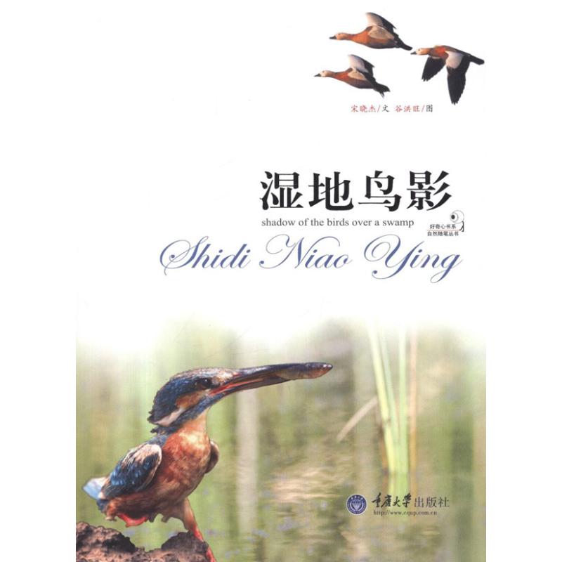 湿地鸟影