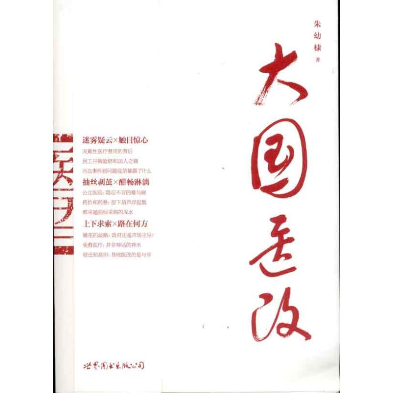 大国医改