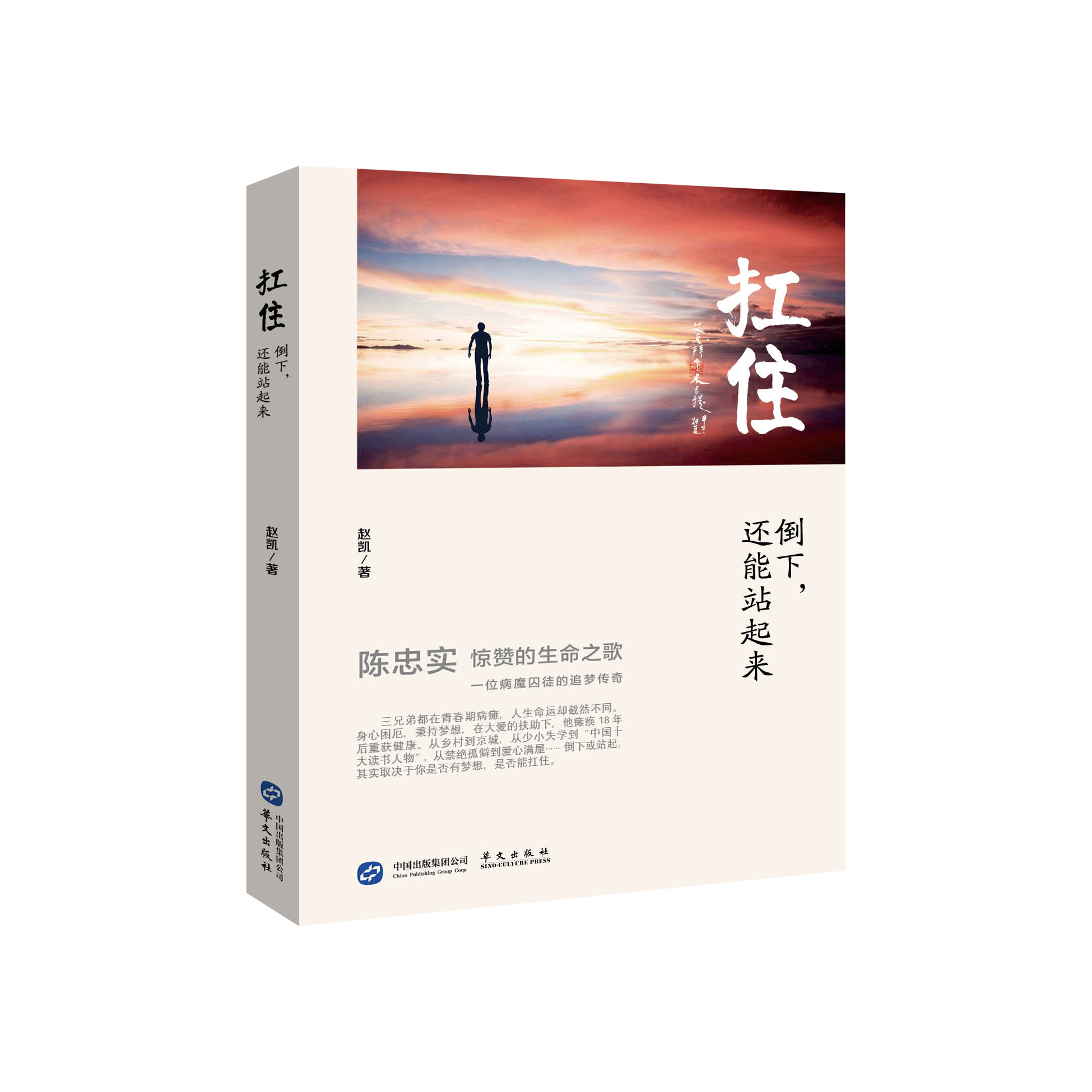 扛住：倒下，还能站起来（陈忠实惊赞的生命之歌·一位病魔囚徒的追梦传奇）