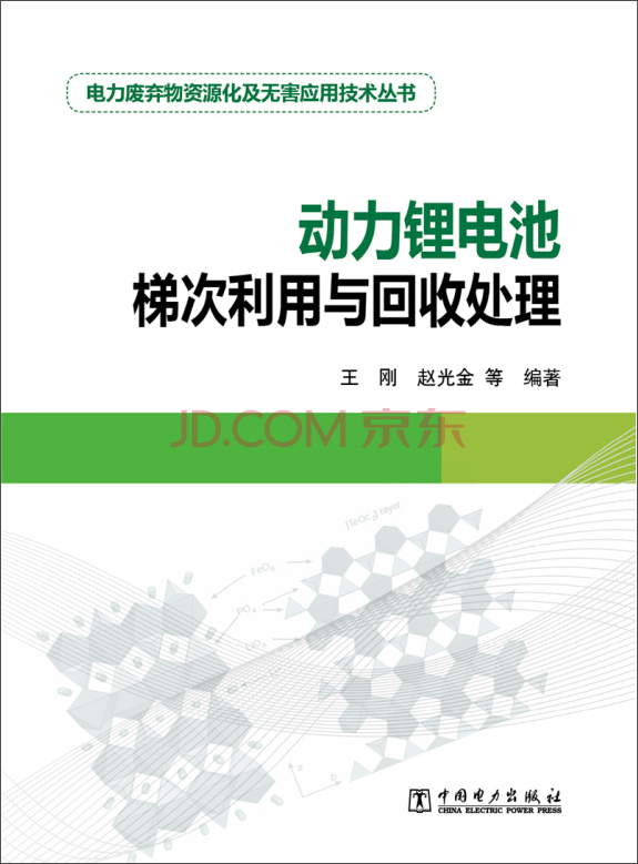 电力废弃物资源化及无害应用技术丛书 动力锂电池梯次利用与回收处理
