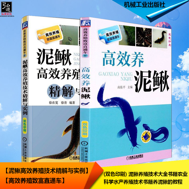 黄鳝泥鳅养殖技术大全书籍 高效养泥鳅+泥鳅高效养殖技术精解与实例 双色印刷 农业水产养