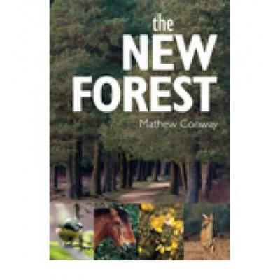 The New Forest