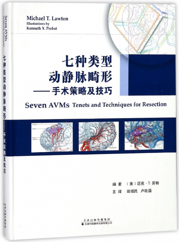 七种类型动静脉畸形--手术策略及技巧(精)
