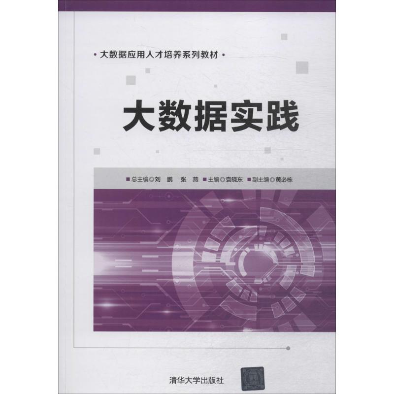 大数据实践 9787302494256 清华大学出版社 计算机互联网应用