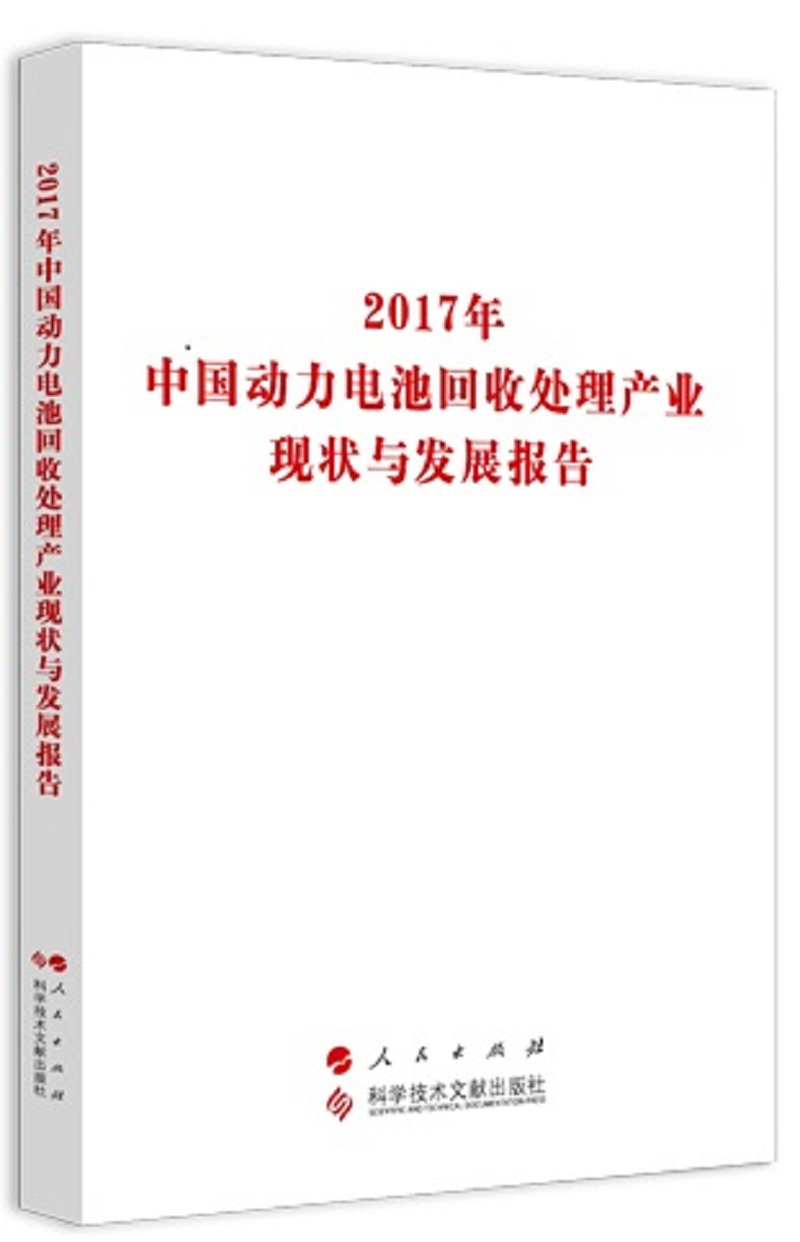 2017年中国动力电池回收处理产业现状与发展报告