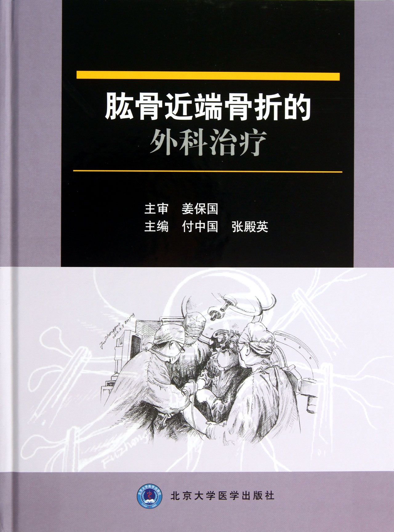 肱骨近端骨折的外科治疗(精)