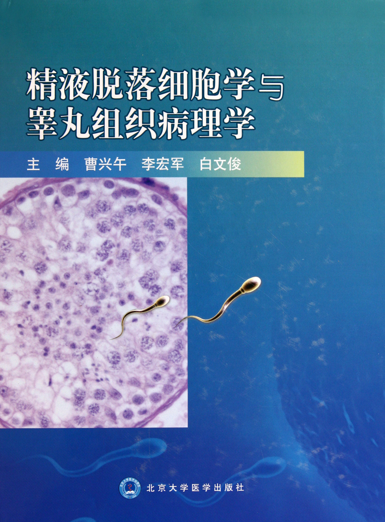 精液脱落细胞学与睾丸组织病理学(精)