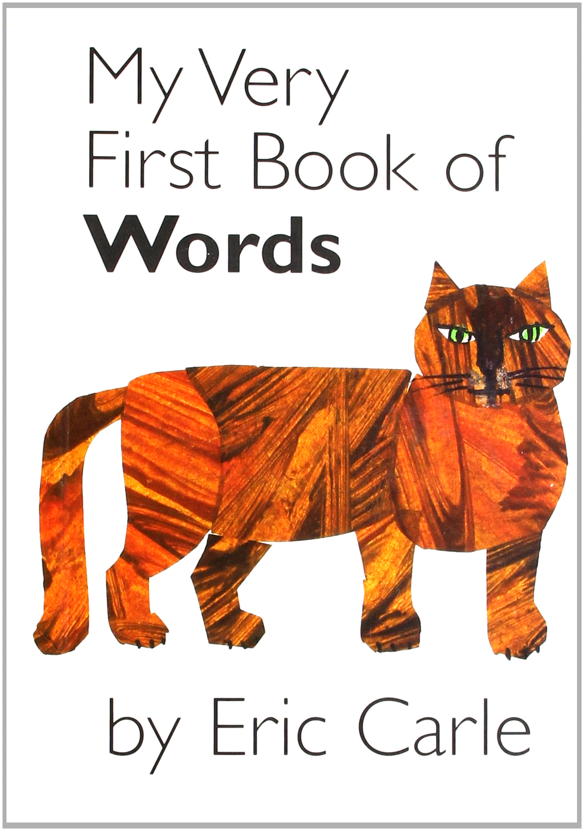 My Very First Book of Words  Board book  我的第一本单词书 英文原版