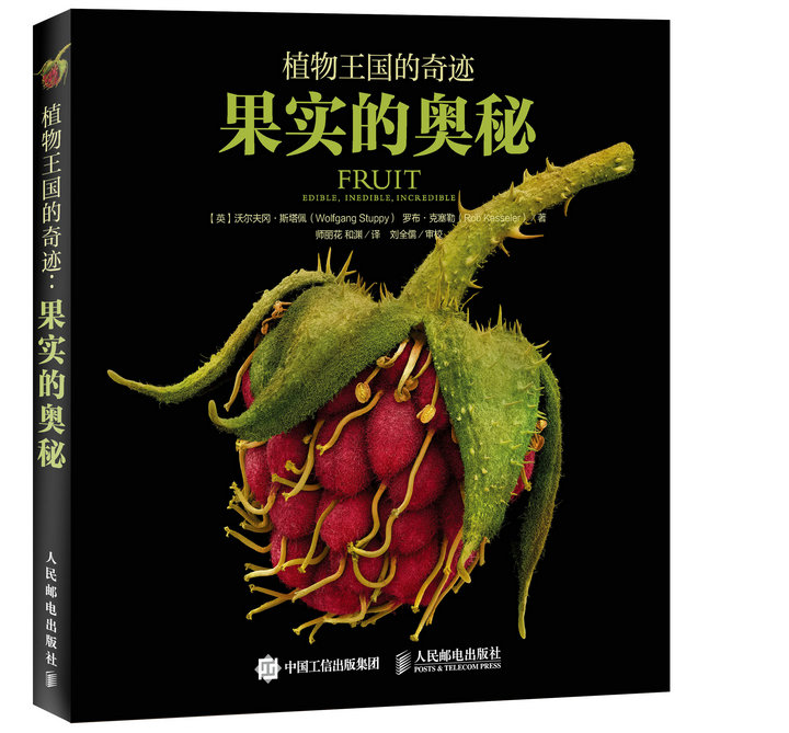 植物王国的奇迹 果实的奥秘（异步图书出品）