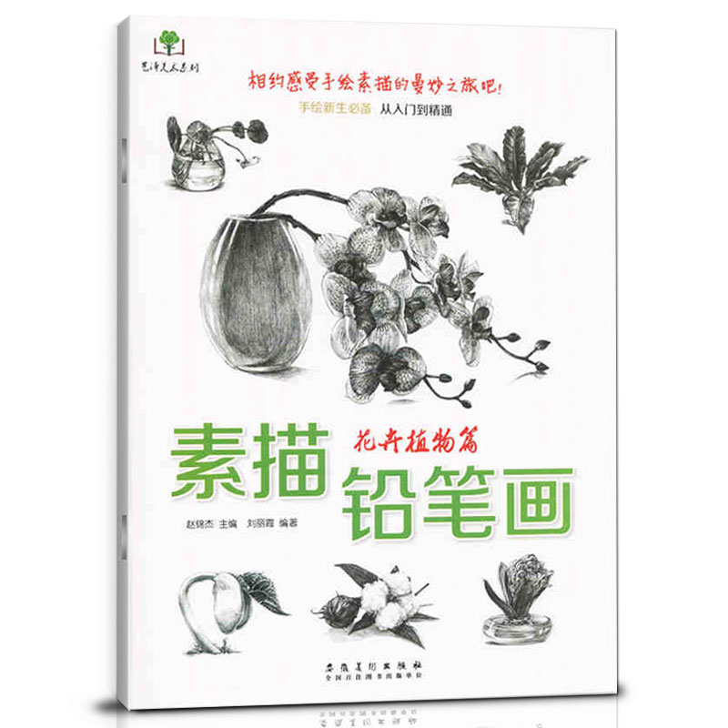 素描铅笔画花卉植物篇 手绘新生 从入门到精髓铅笔画起步零基础技法 艺术生绘画画教程教材 安徽美术