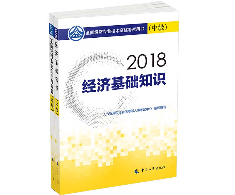经济师中级2018工商管理套装 2018年全国经济专业技术资格考试用书工商管理专业套装 经济基础知识+专业知识与实务（全2册）