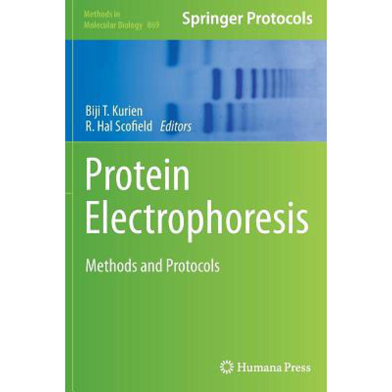 Protein Electrophoresis : Methods and Protocols