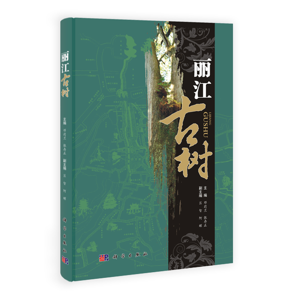 丽江古树