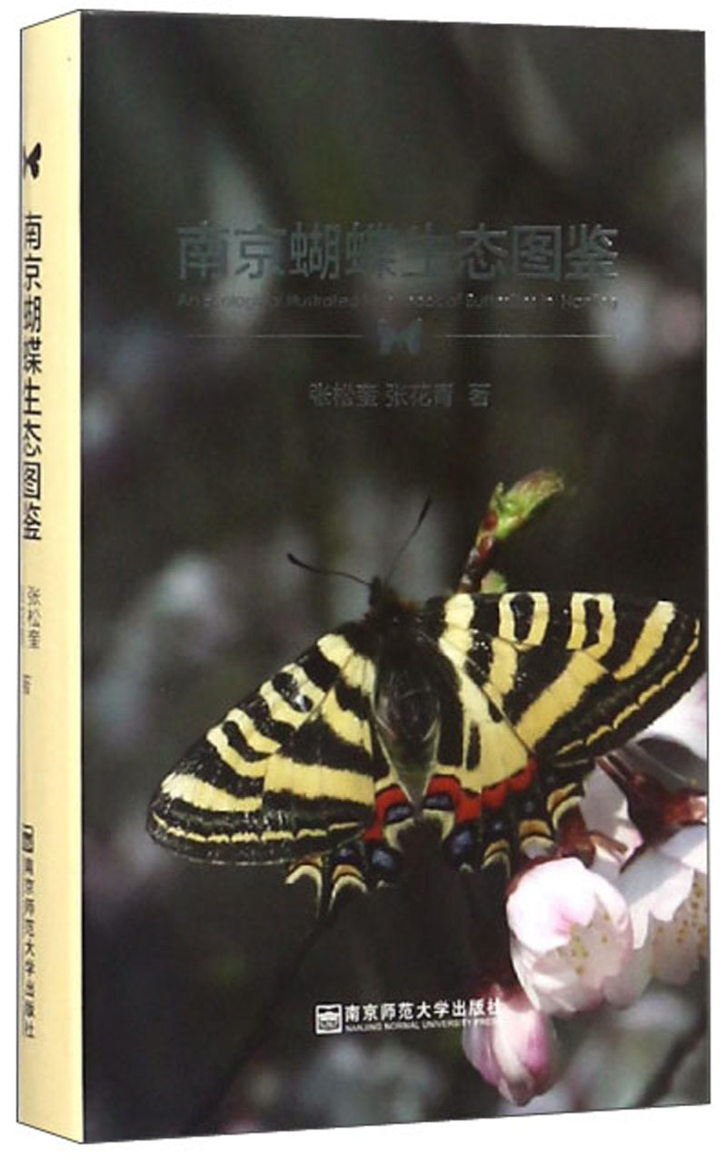 南京蝴蝶生态图鉴